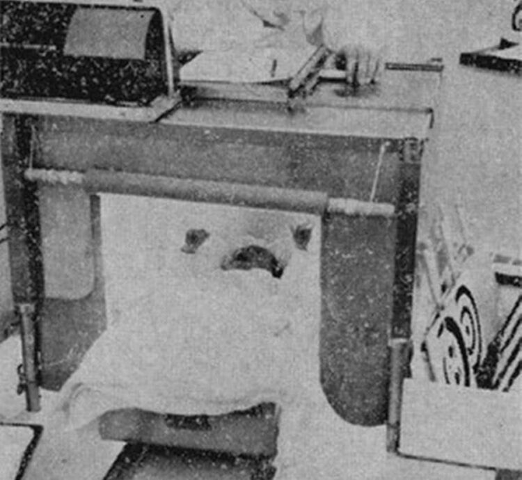 Robert L. Fantz'in İzleme Deneyi