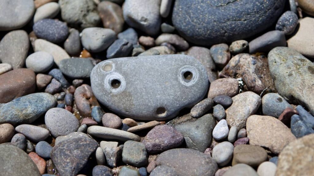 Pareidolia Nedir? Nasıl Ortaya Çıktı?